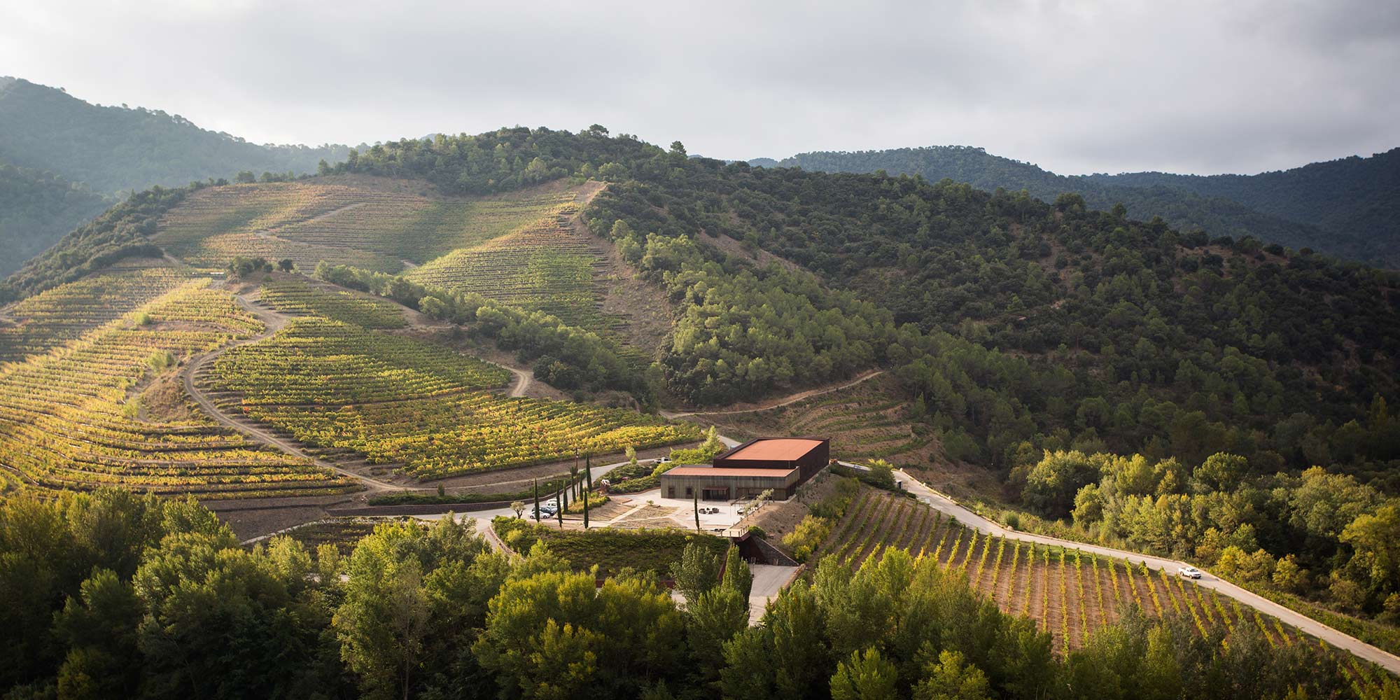 Home | Alpha Omega Collective